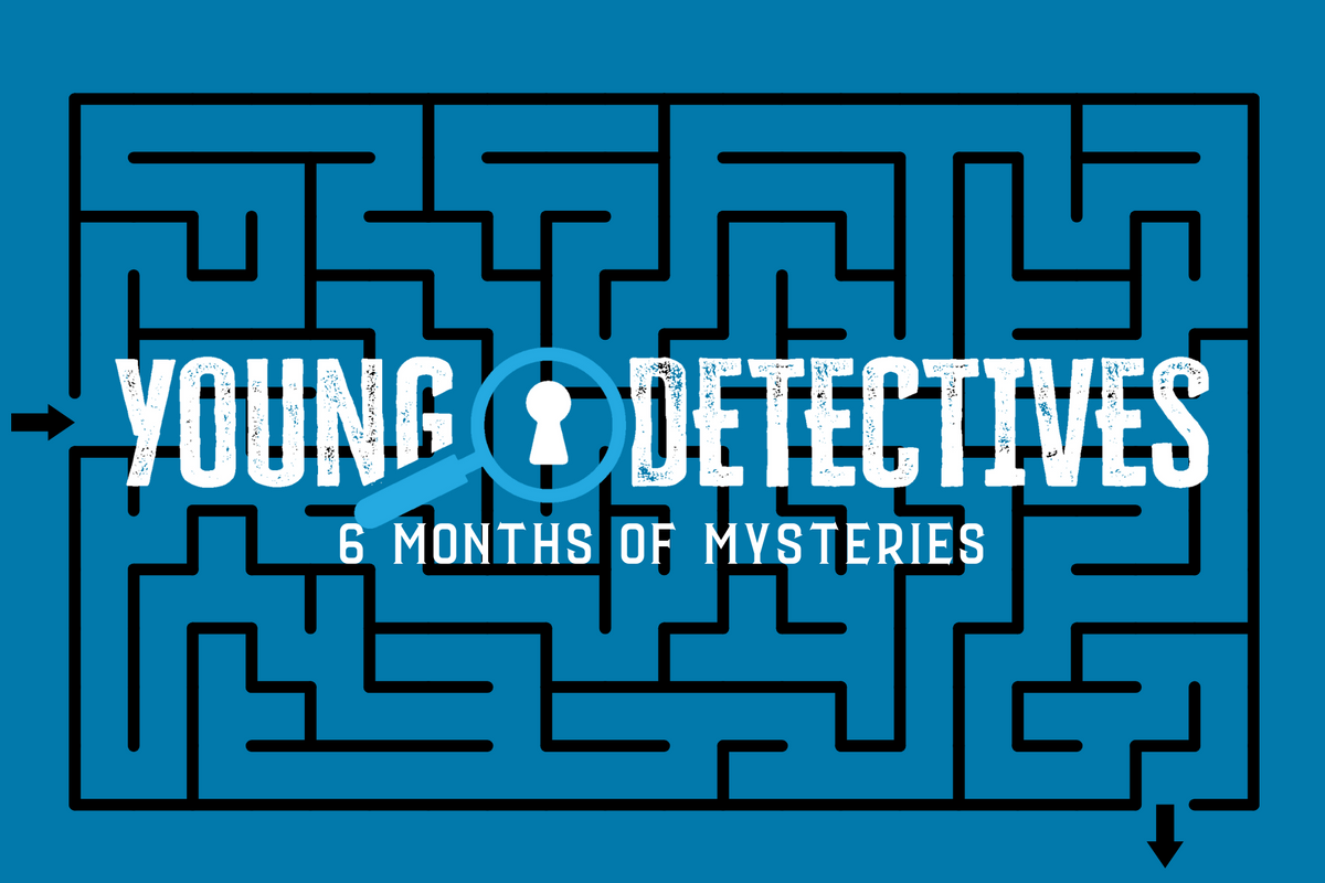 NEW! (LIMITED PREPAID SUBSCRIPTION) Young Detectives (6 Mysteries ...